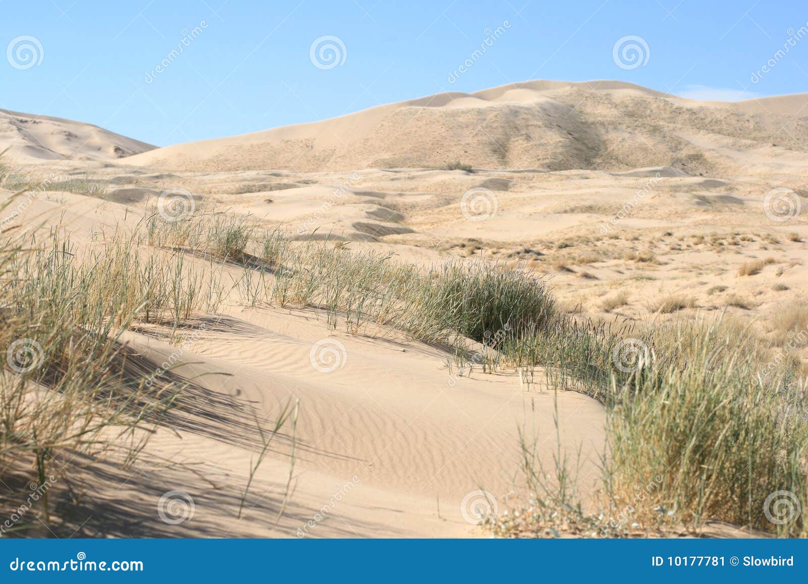 Kelso Sand Dunes, Mojave Desert, California Stock Image - Image of ...
