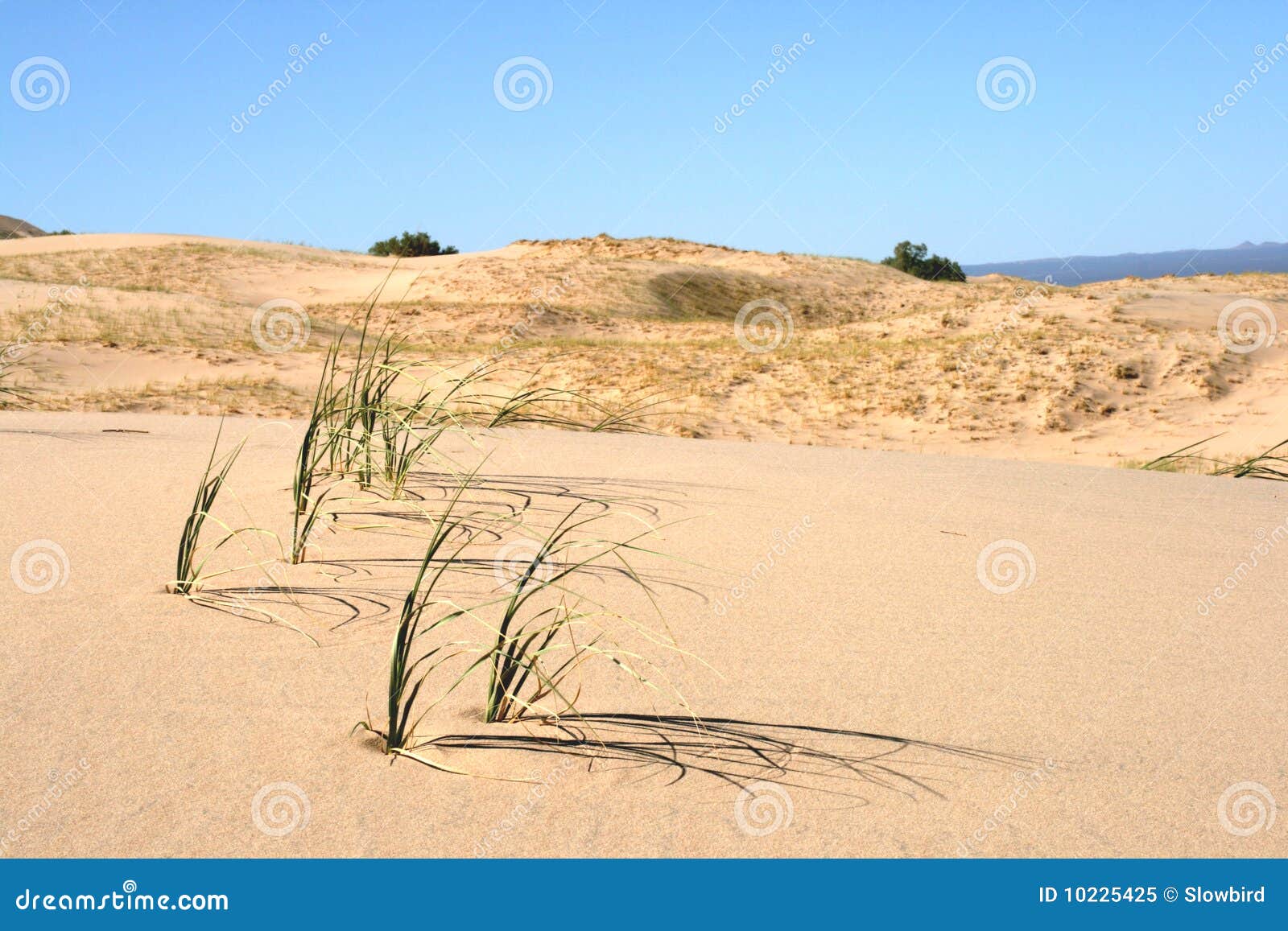 Kelso Sand Dunes, Mojave Desert, California Stock Image - Image of ...
