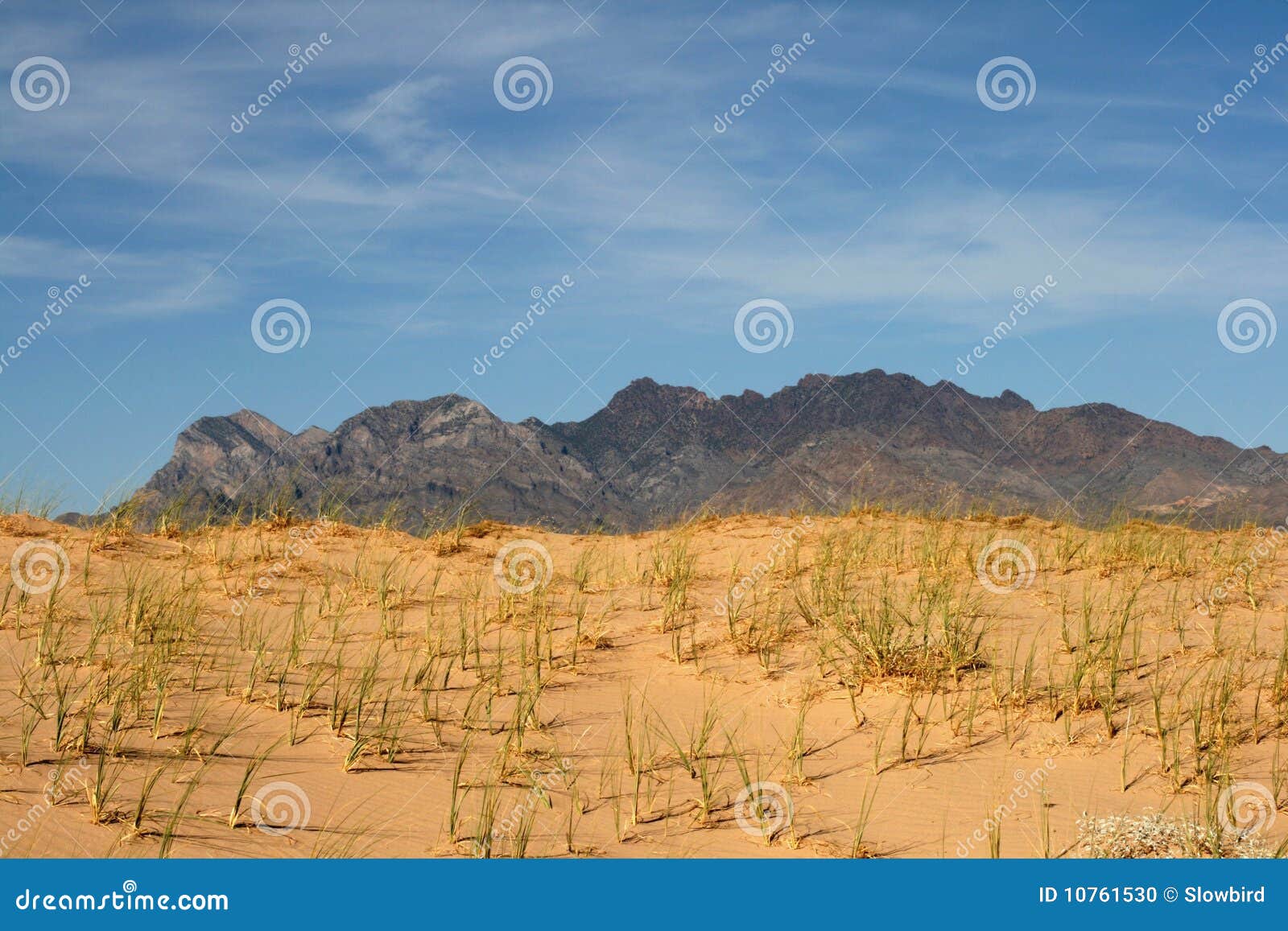 Kelso Sand Dunes, Mojave Desert, California Stock Photo - Image of ...