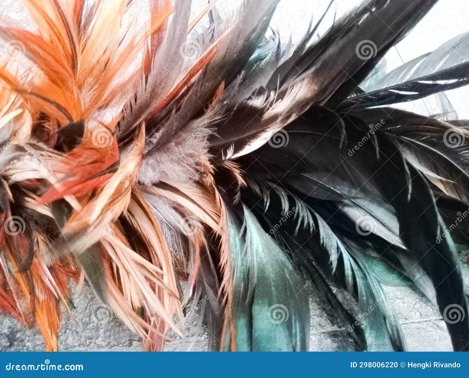 Kemoceng or feather duster stock photo. Image of magic - 298006220