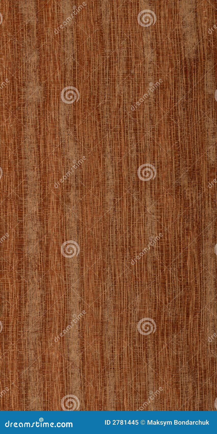 Wood Or Kempas Tree (Koompassia Malaccensis) Stock Photo ...