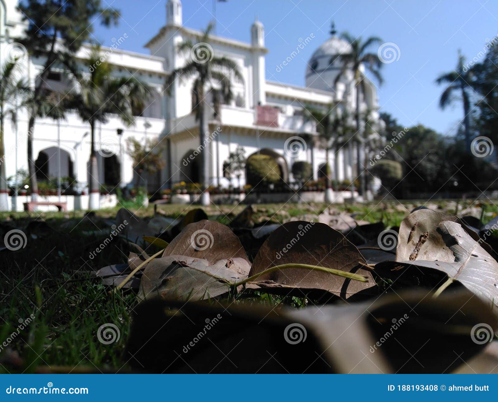 Kemu Photos - Free & Royalty-Free Stock Photos from Dreamstime