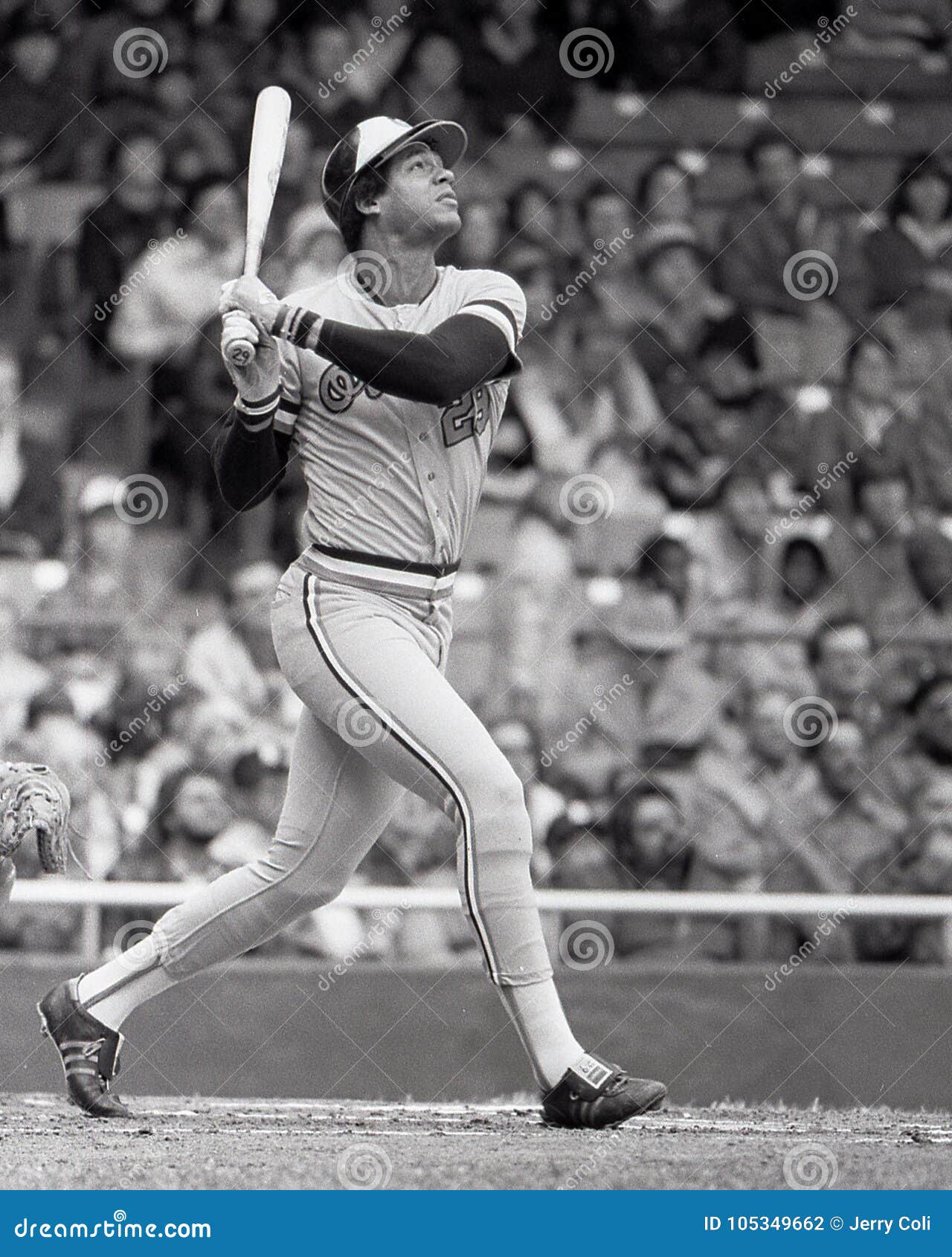 Ken Singleton photographie éditorial. Image du loriots - 105349662