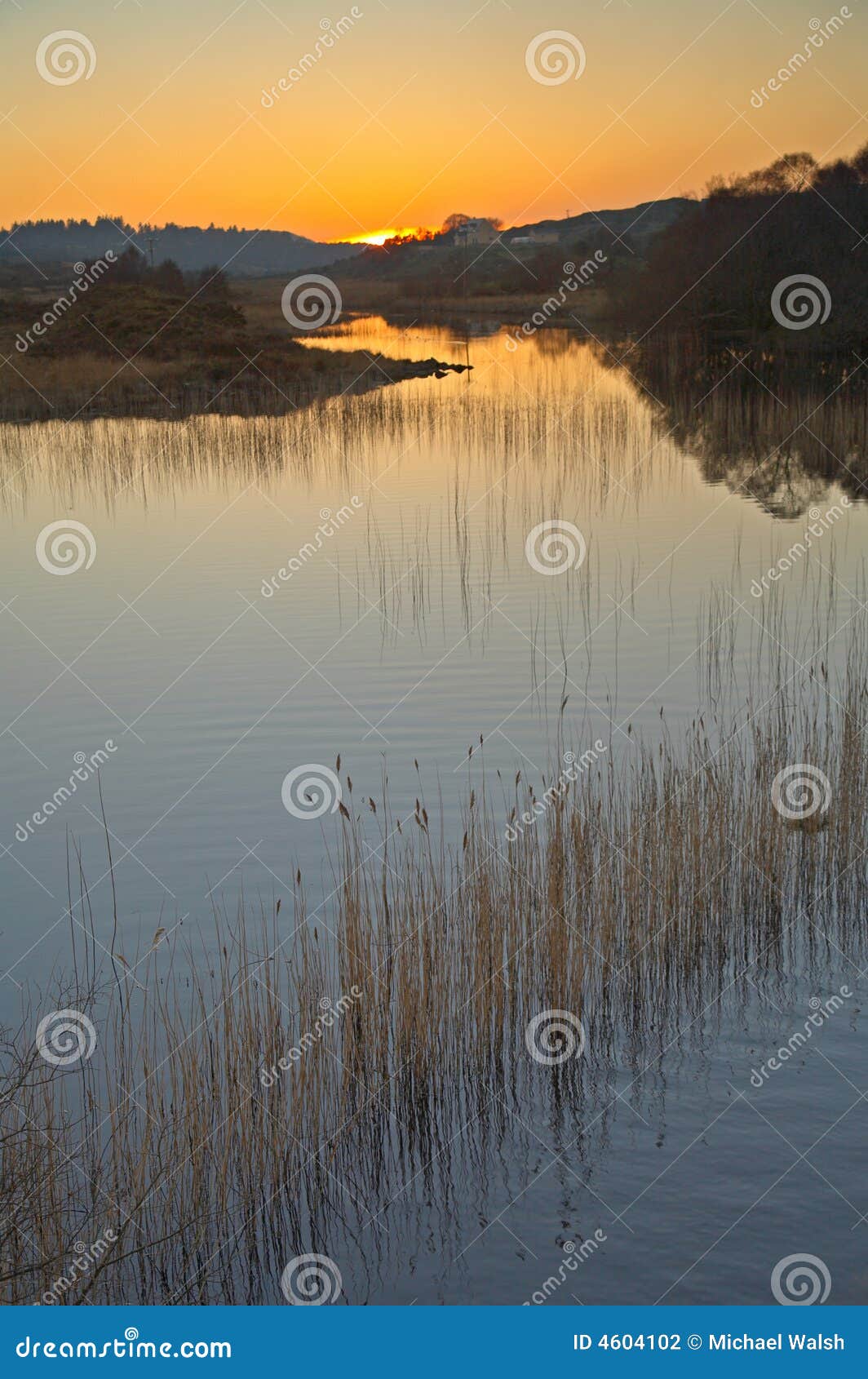 Kenmare River stock photo. Image of water, grass, ireland - 4604102