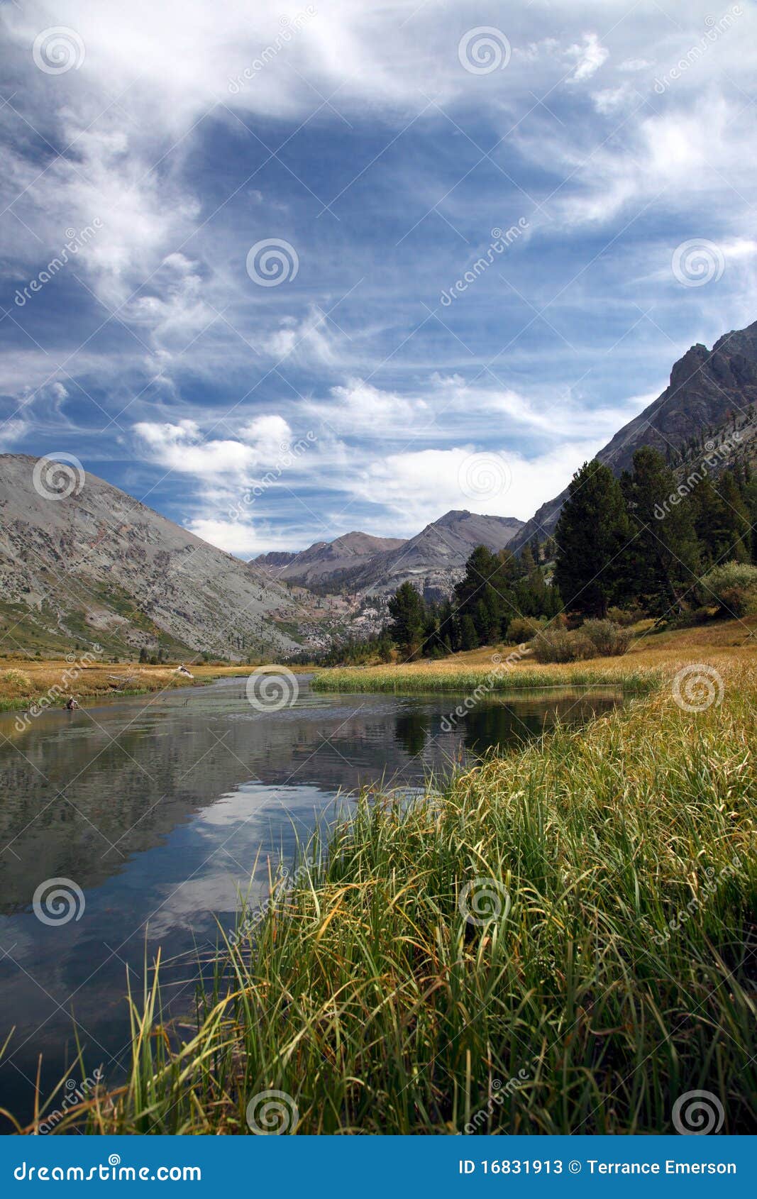 Kennedy Lake: Emigrant Wilderness Stock Image - Image of back, still ...