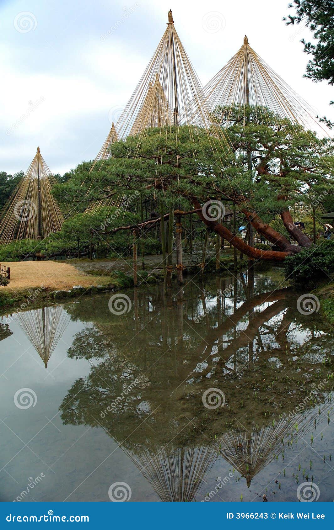 Yukitsuri Ropes Stock Photos - Free & Royalty-Free Stock Photos from ...
