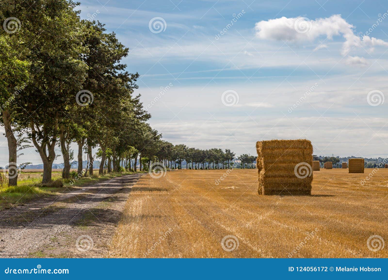 Kent Farm Landscape foto de archivo. Imagen de campos - 124056172
