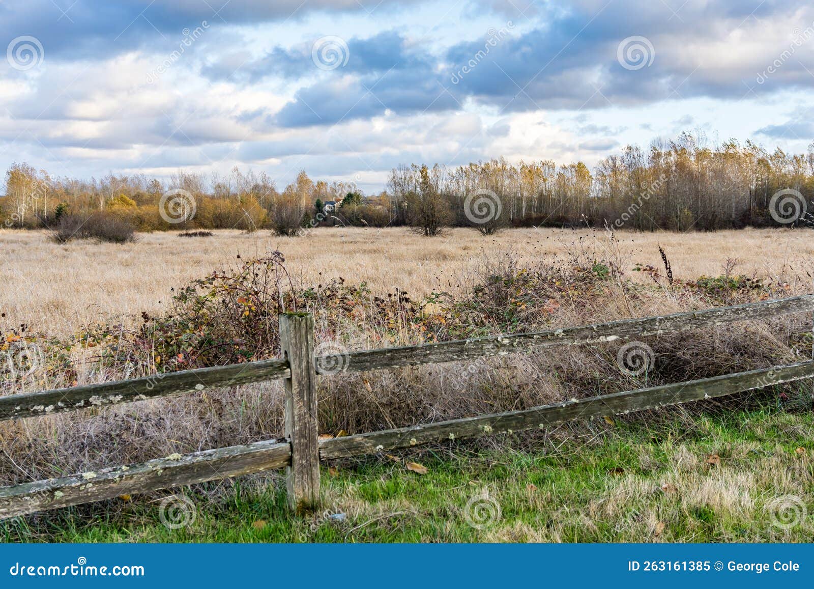 Kent Washington Autumn 8 stock image. Image of nature - 263161385