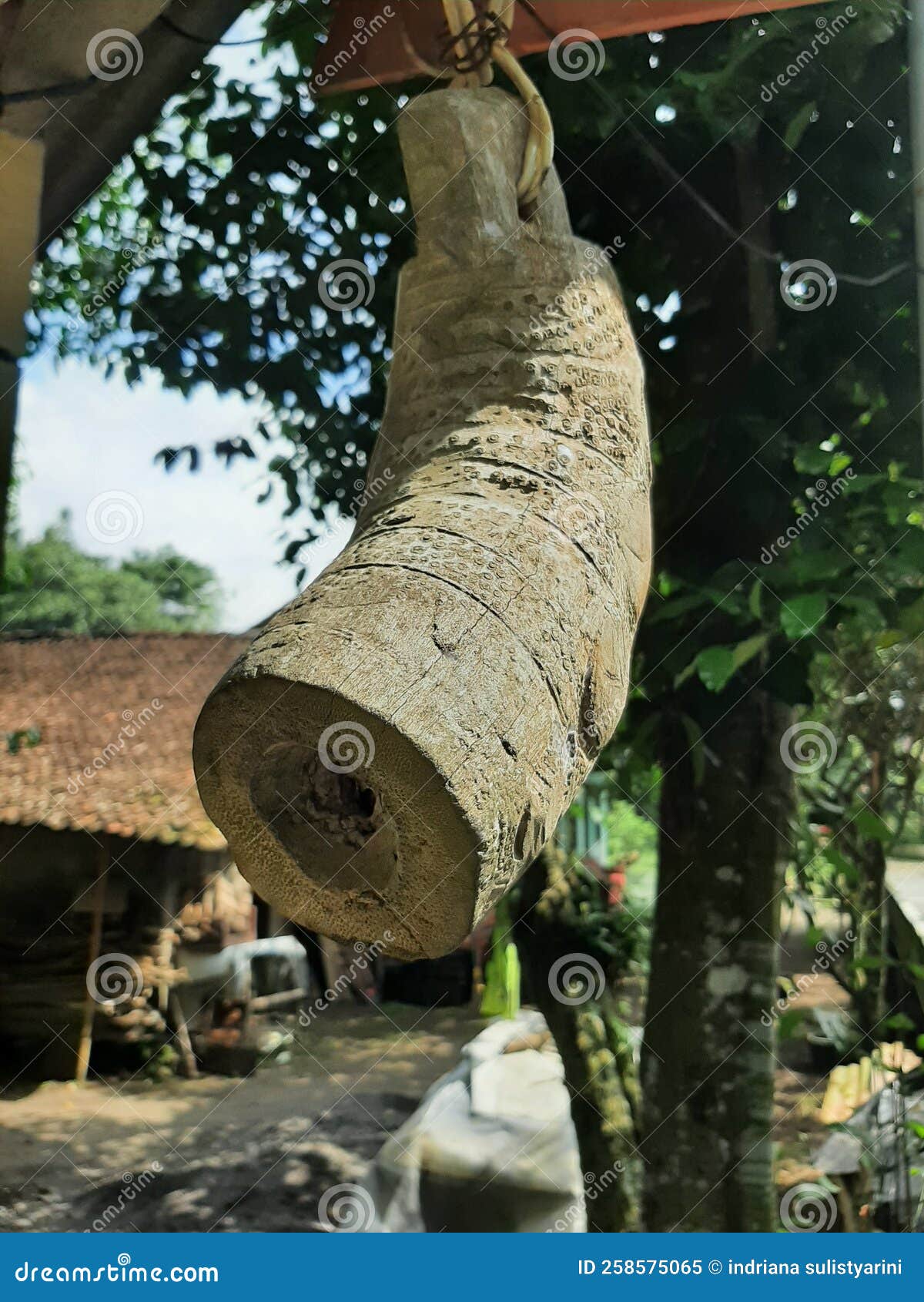 Kentongan is Made from Bamboo Roots. Traditional Communication Tools on ...