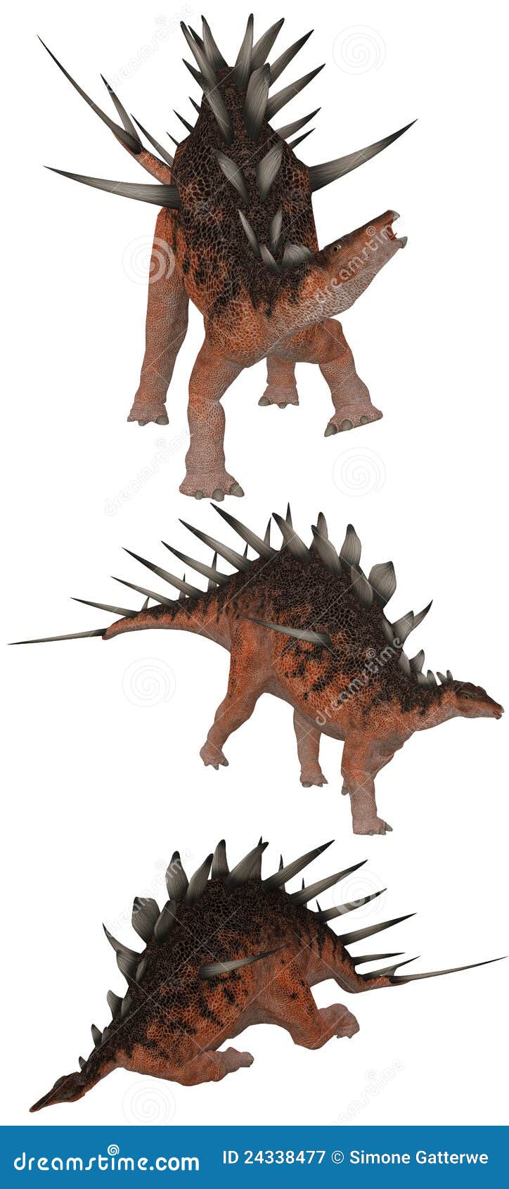 Kentrosaurus stock illustration. Illustration of extinct - 24338477