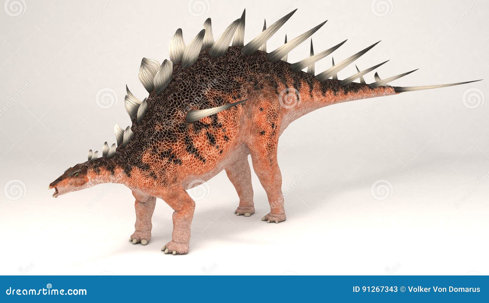 Kentrosaurus-Dinosaur stock illustration. Illustration of creature ...