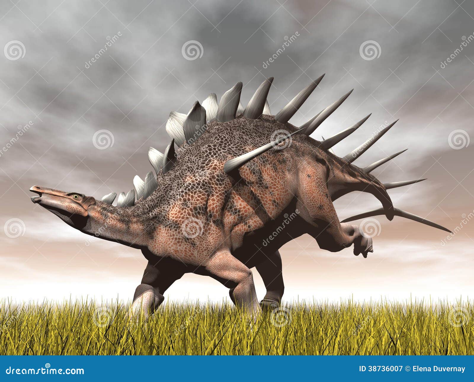 Kentrosaurus Dinosaur Coloring Page Illustration | CartoonDealer.com ...