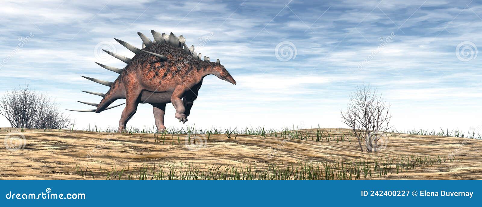 Kentrosaurus Dinosaur Coloring Page Illustration | CartoonDealer.com ...