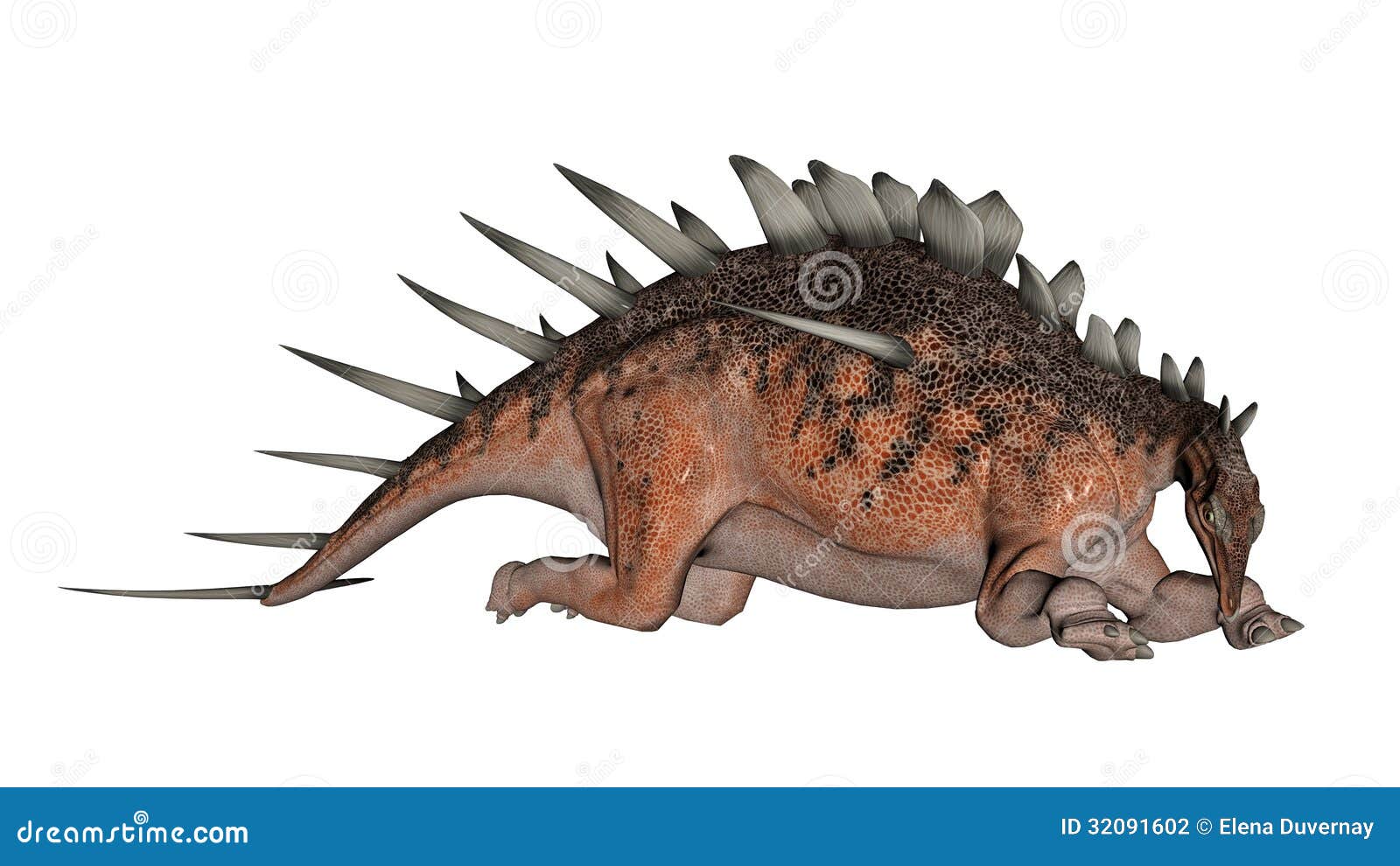 Kentrosaurus Dinosaur Coloring Page Illustration | CartoonDealer.com ...