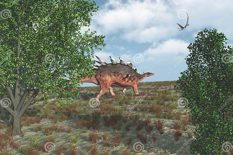 Kentrosaurus Dinosaur Walking Stock Illustration - Illustration of ...