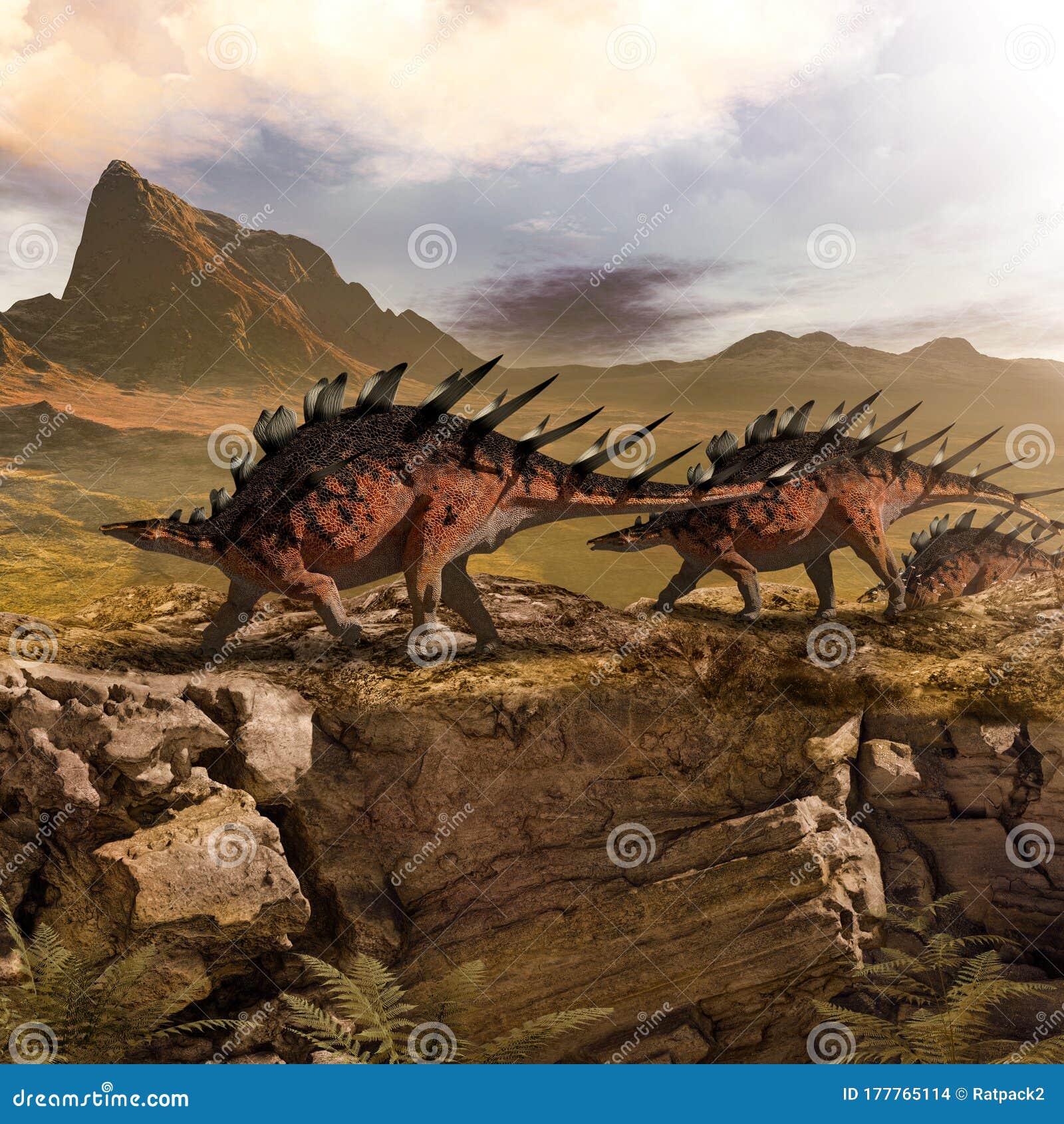 Kentrosaurus Dinosaurs Marching in Prehistoric Landscape Stock ...