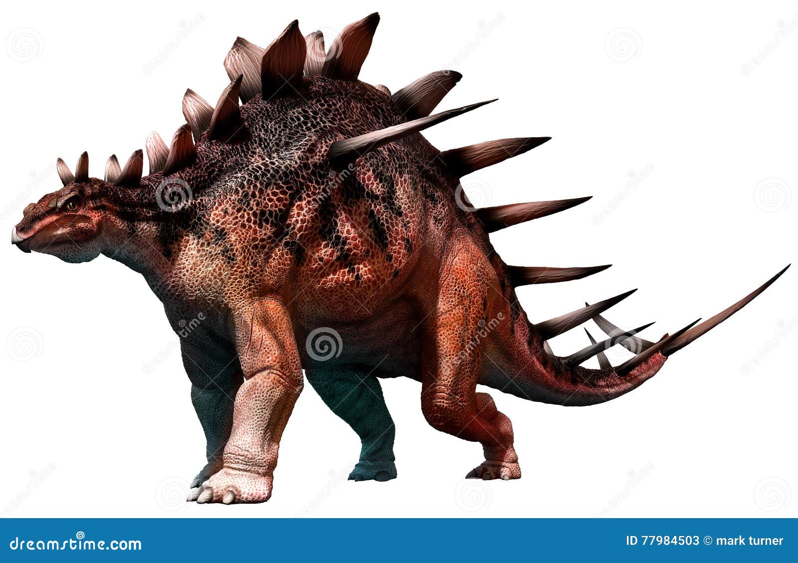 Kentrosaurus stock illustration. Illustration of jurassic - 77984503
