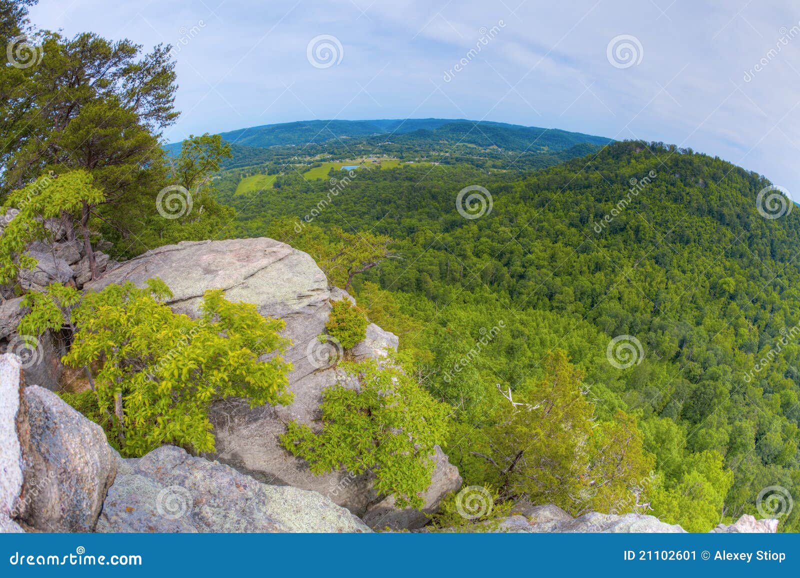 Kentucky stock image. Image of forest, horizon, nature - 21102601