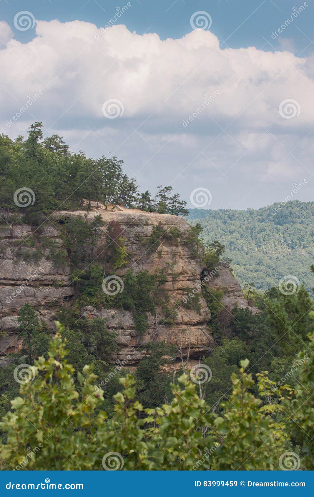 Kentucky beauty stock image. Image of river, nature, steps - 83999459