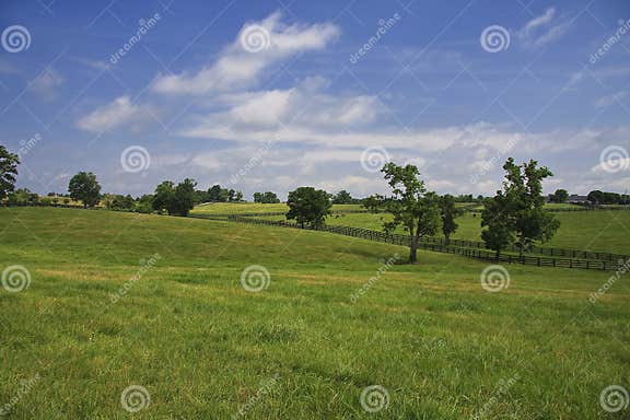 Kentucky Bluegrass stock photo. Image of farms, farm - 10072252