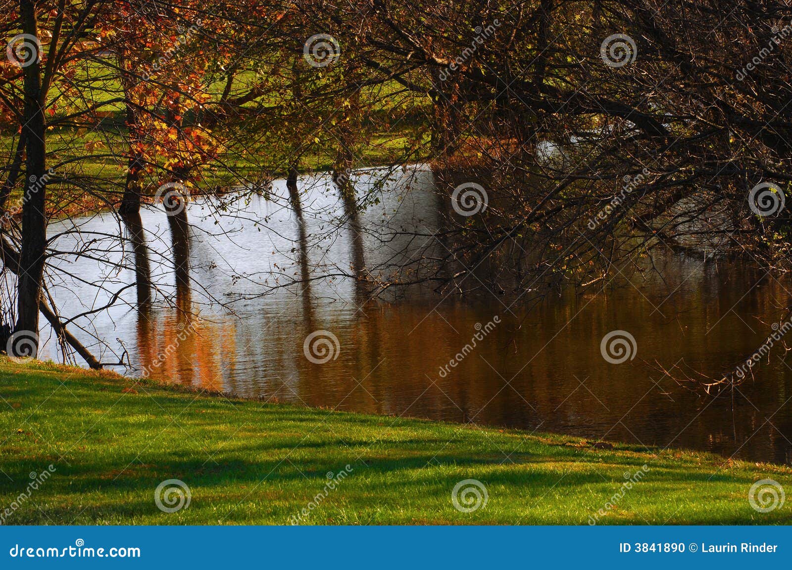 Kentucky Pond stock photo. Image of autumn, leaves, forest - 3841890