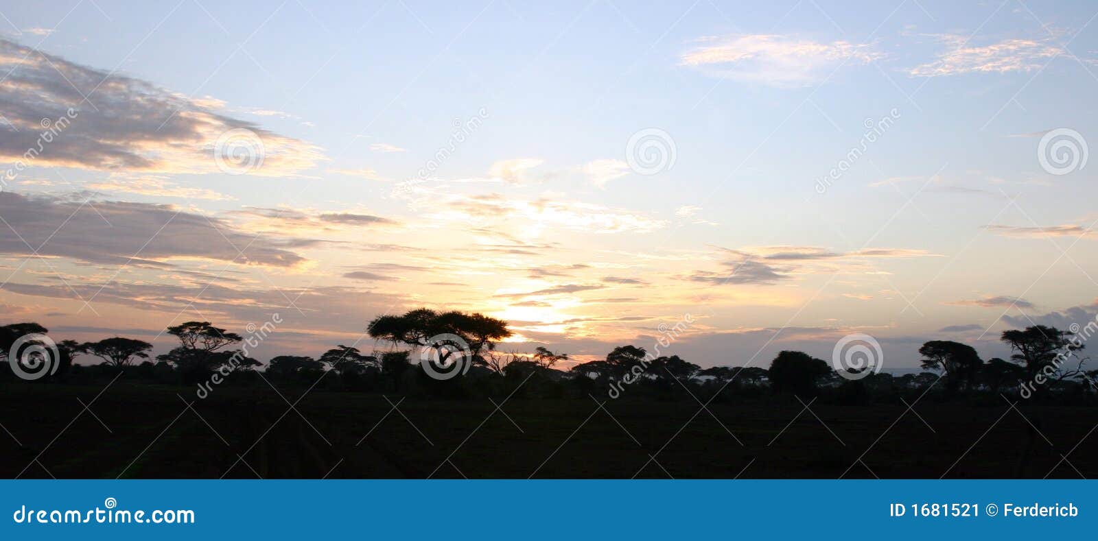 Kenya sunset stock image. Image of typical, orange, shadows - 1681521