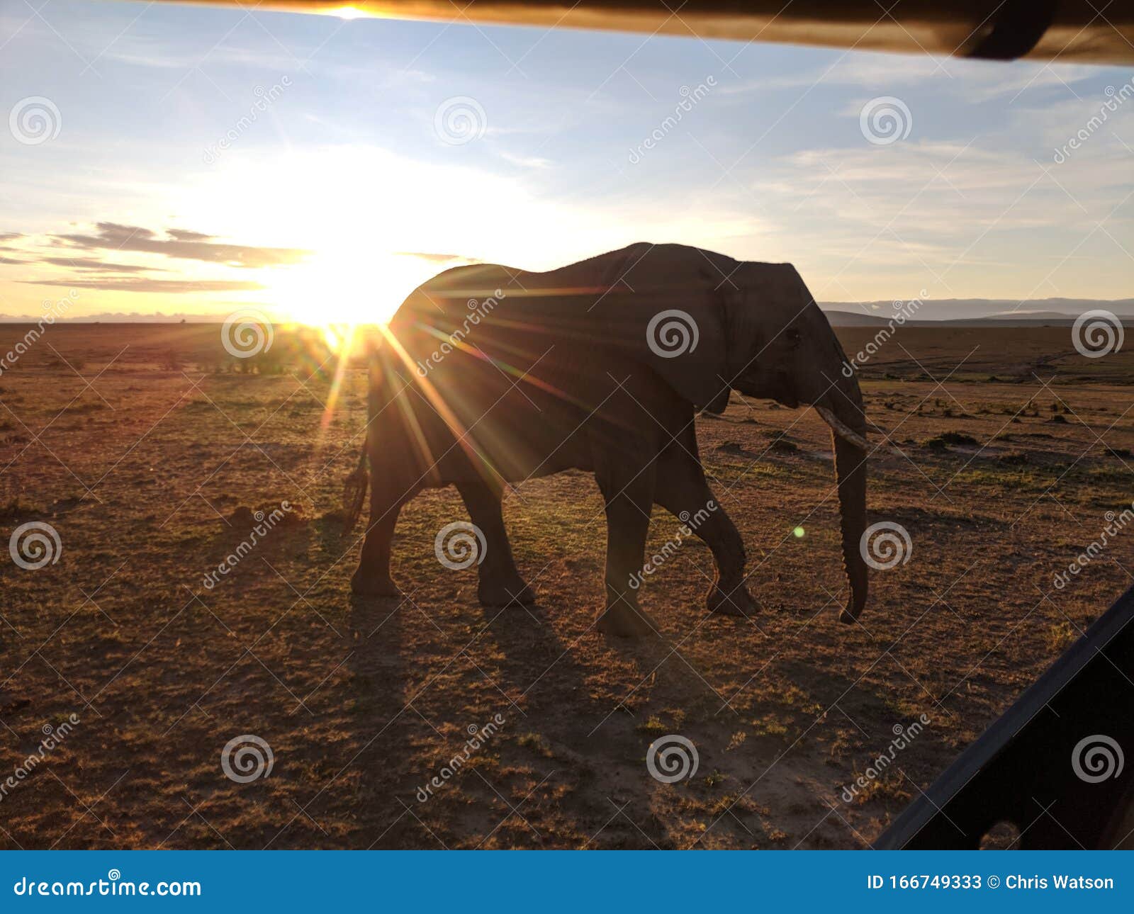 Kenyan Elephant and Safari Sunset Stock Image - Image of elephant ...
