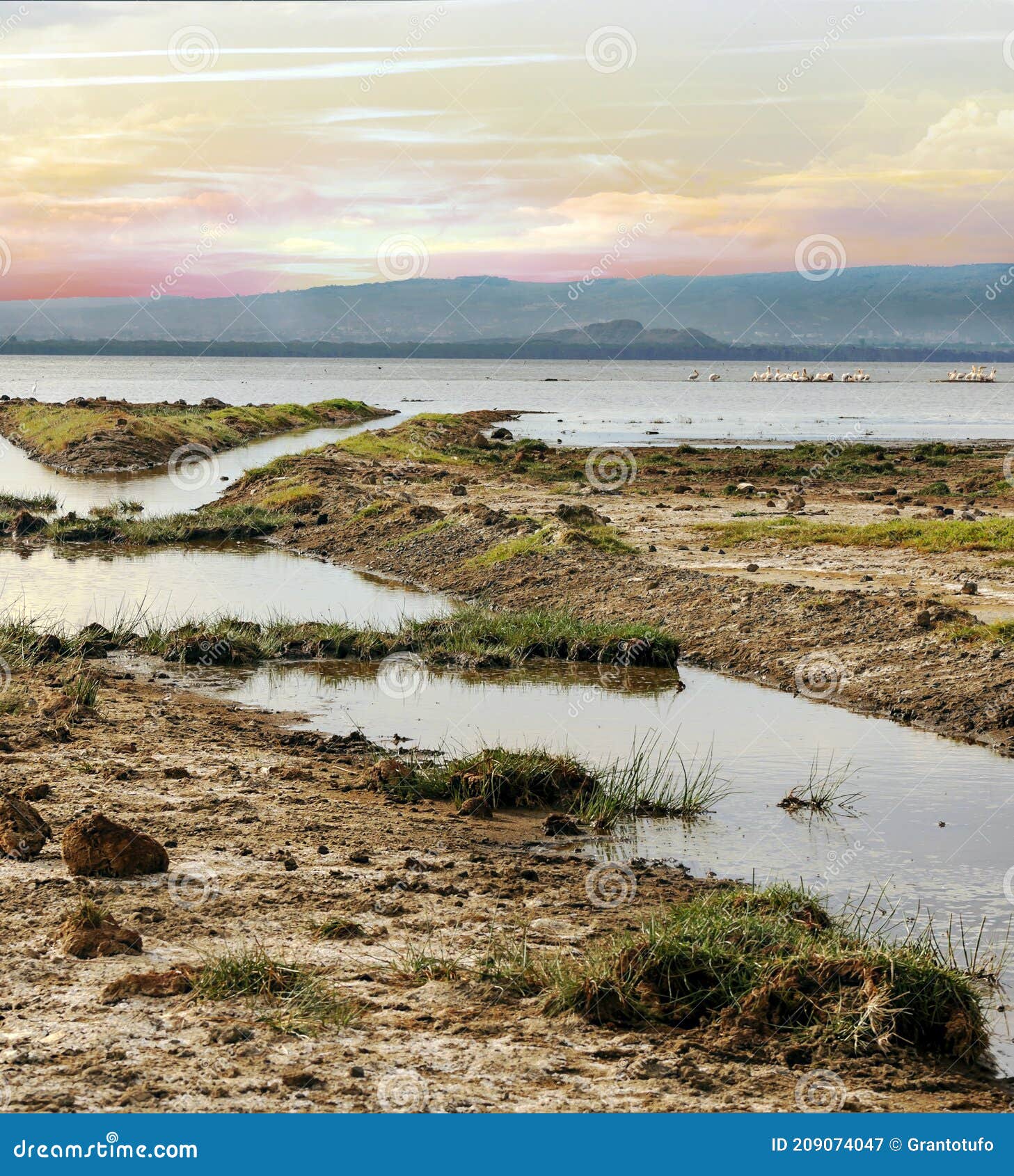 African lake stock image. Image of river, tree, travel - 209074047