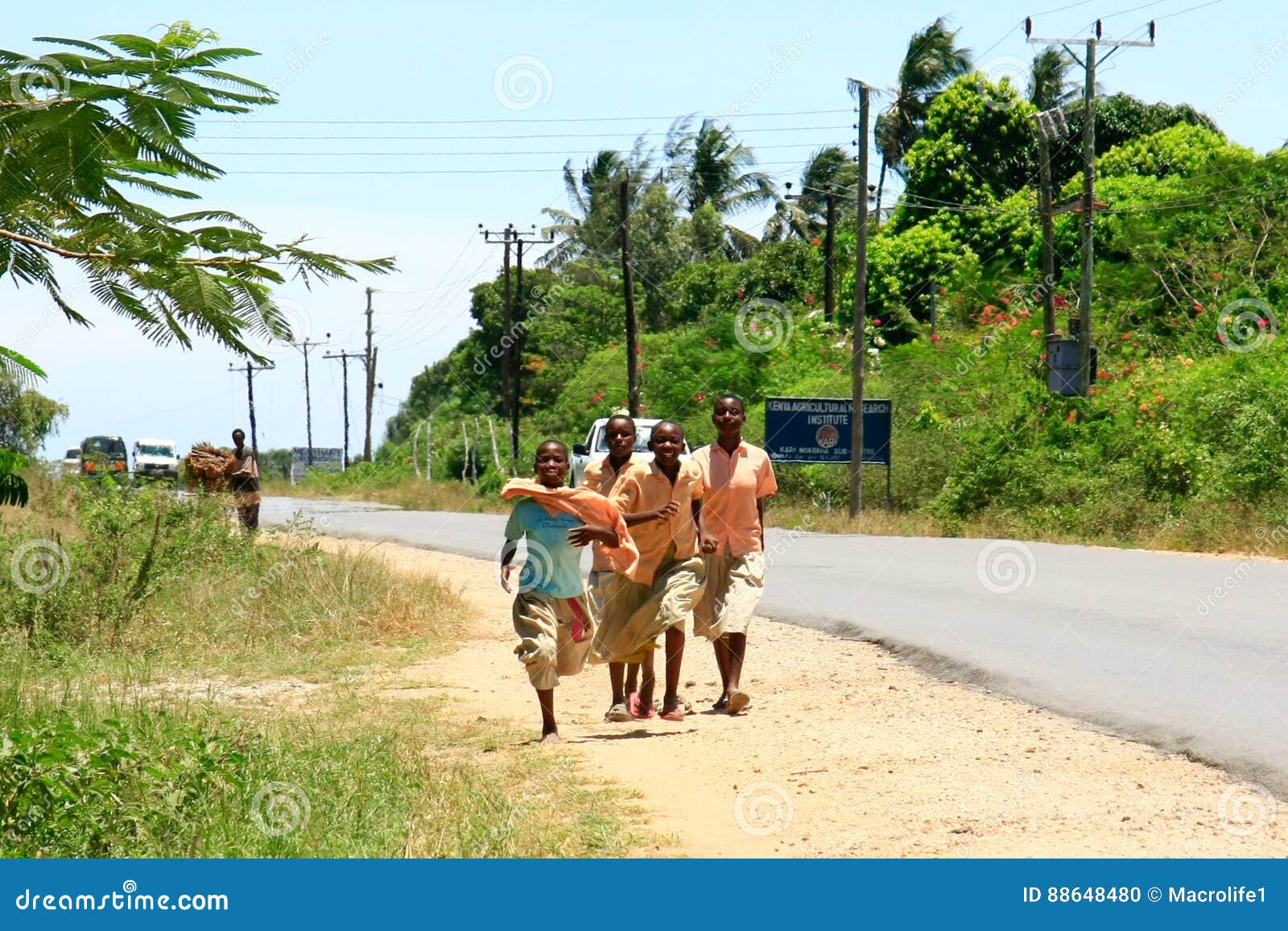Kenyan life editorial image. Image of africa, watamu - 88648480