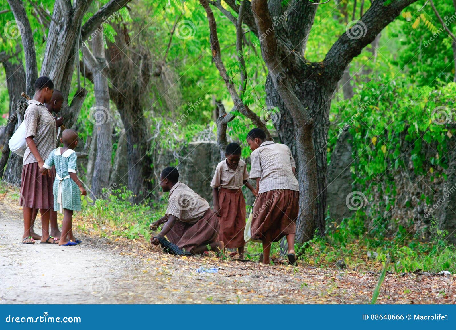 Kenyan life editorial photo. Image of life, west, malindi - 88648666