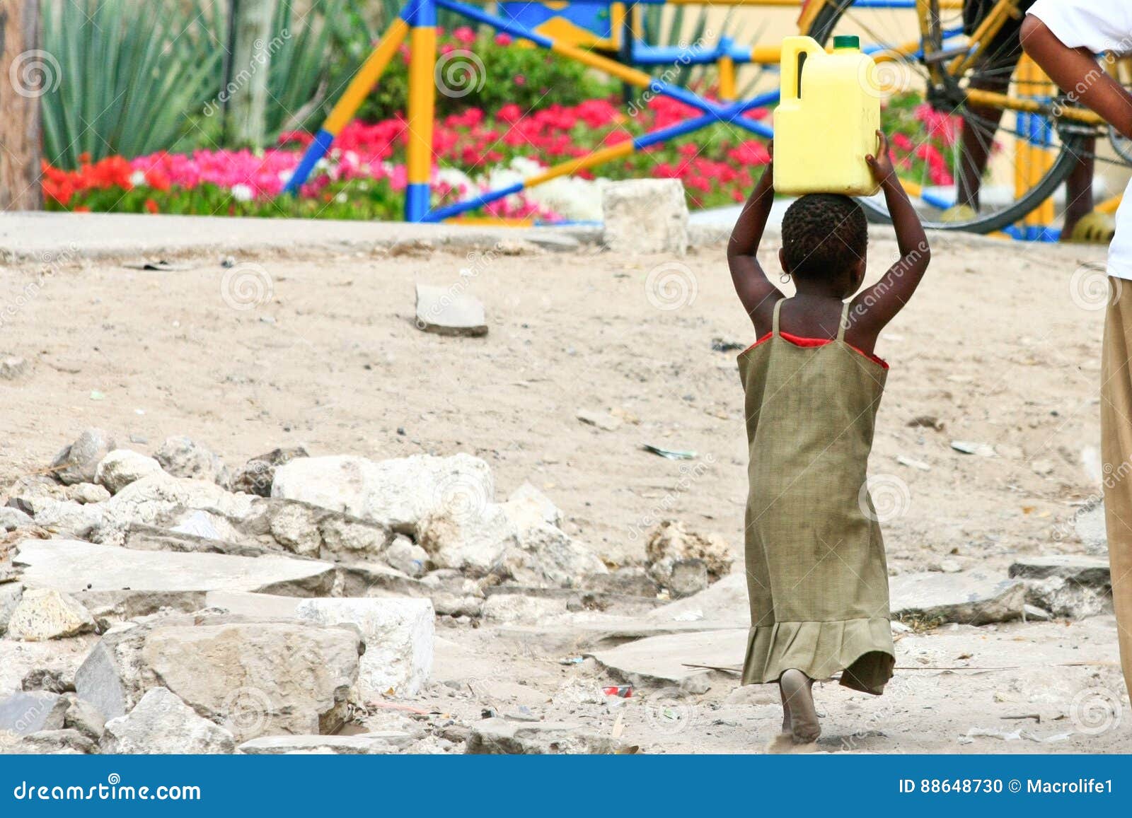 Kenyan life editorial image. Image of vacation, animal - 88648730