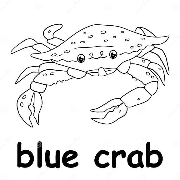 Kids Line Illustration Coloring Blue Crab. Animal Outline Stock Vector ...