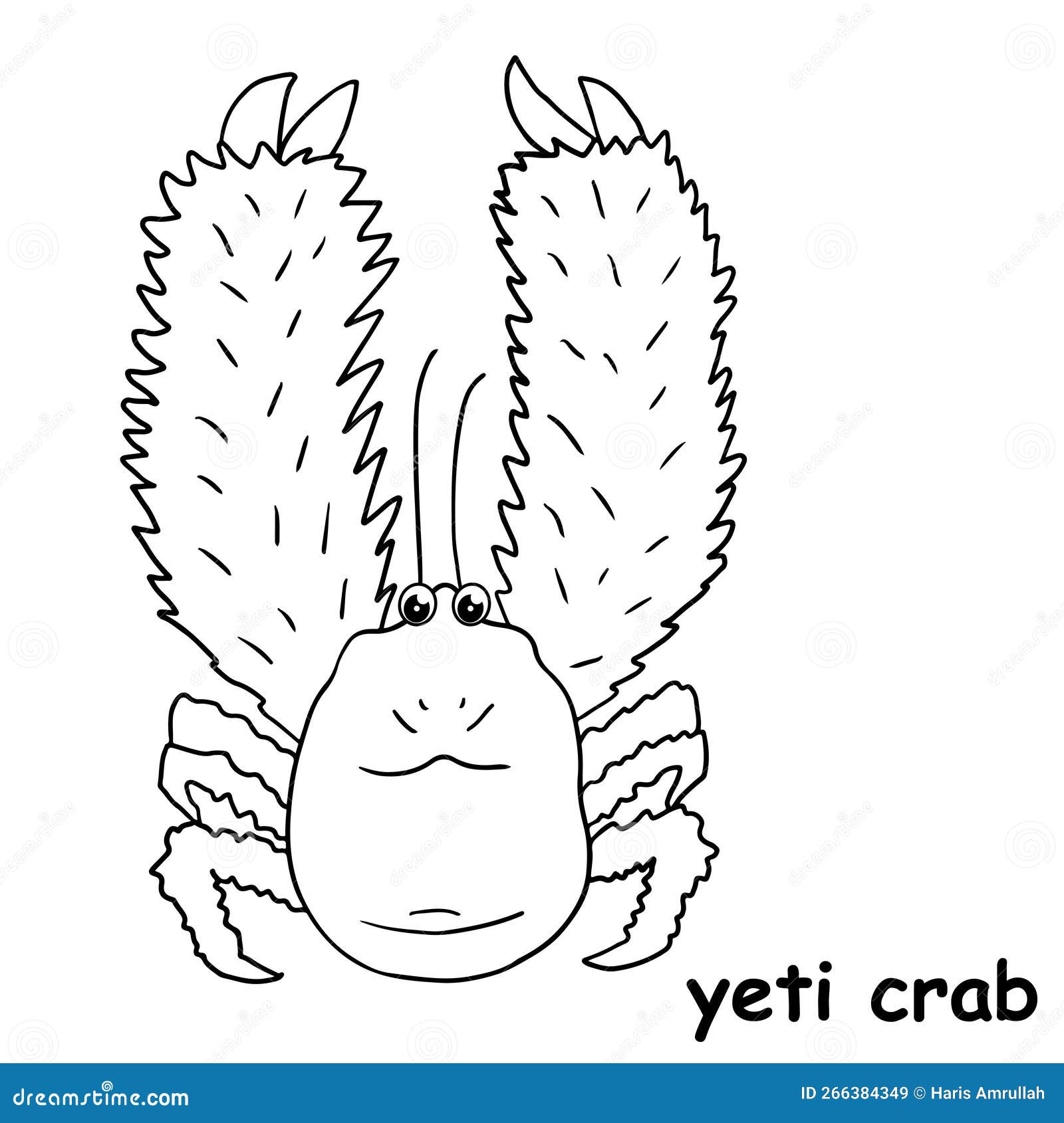 Kids Line Illustration Coloring Animal. Outline Vector for Children ...