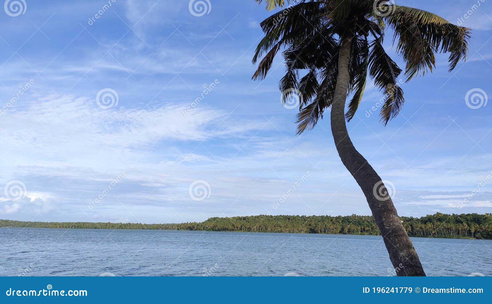 Kerala back water stock image. Image of kerala, ocean - 196241779