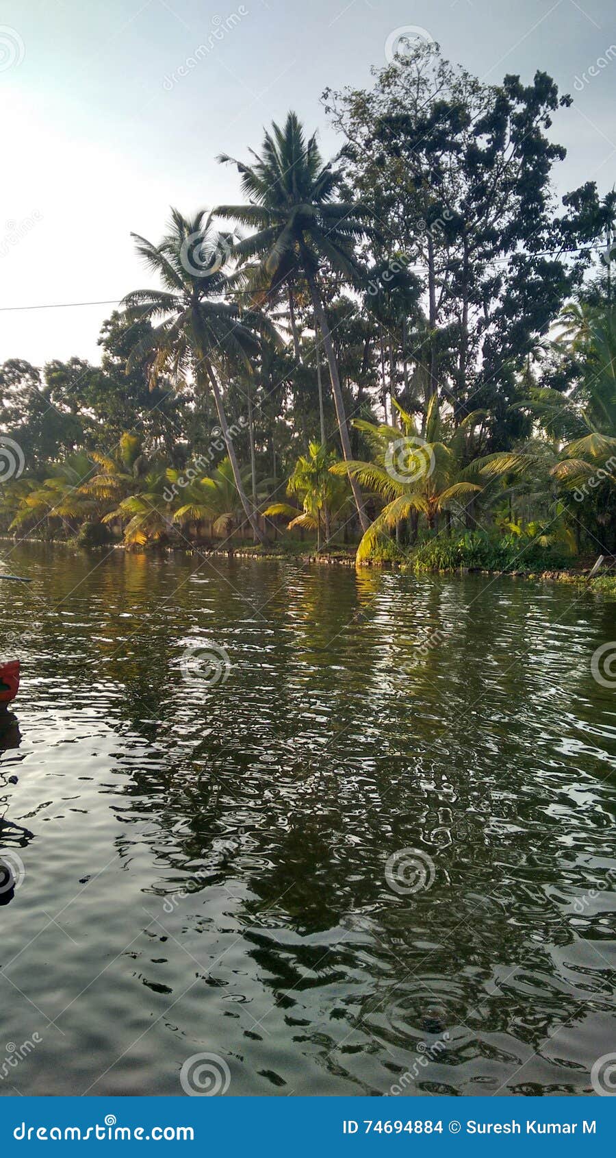 Kerala back water stock photo. Image of back, water, sunset - 74694884