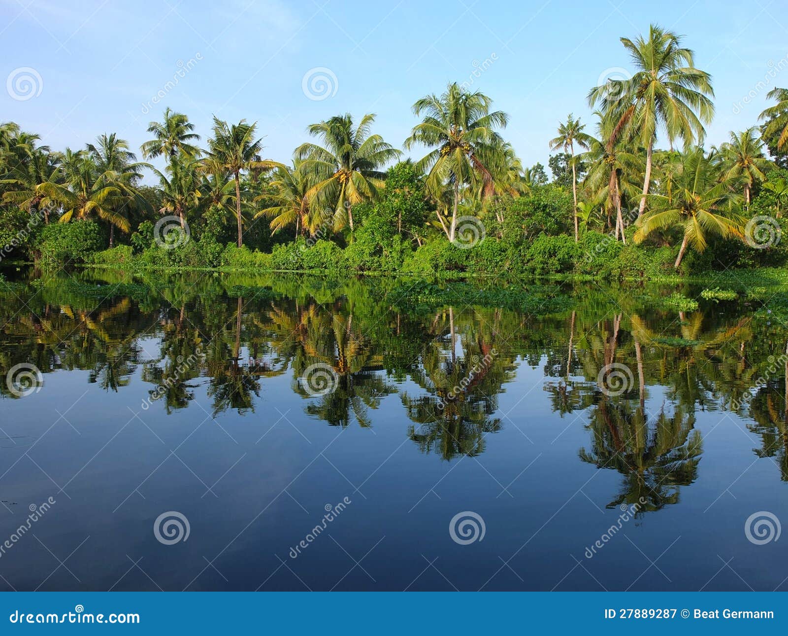 Kerala Backwaters, India stock image. Image of vembanad - 27889287