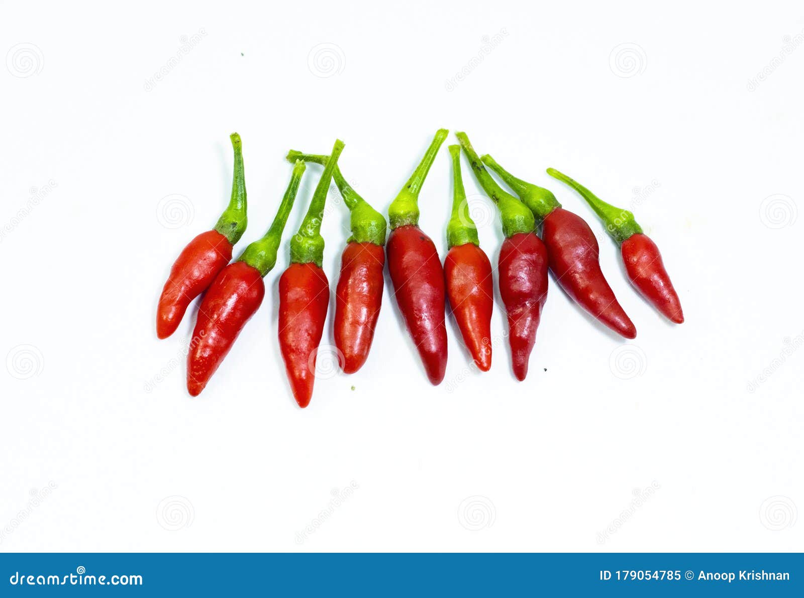 Tabasco Chilli stock image. Image of asian, concepts - 179054785