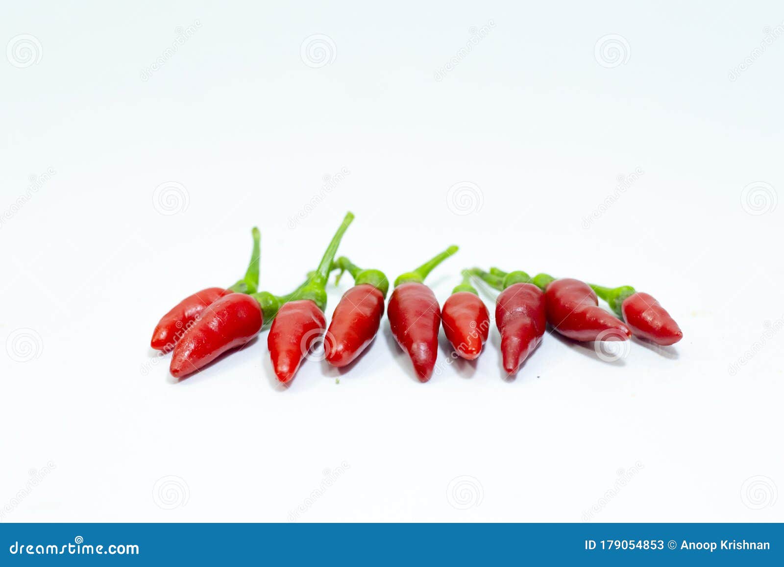 Tabasco Chilli stock image. Image of spicy, concepts - 179054853