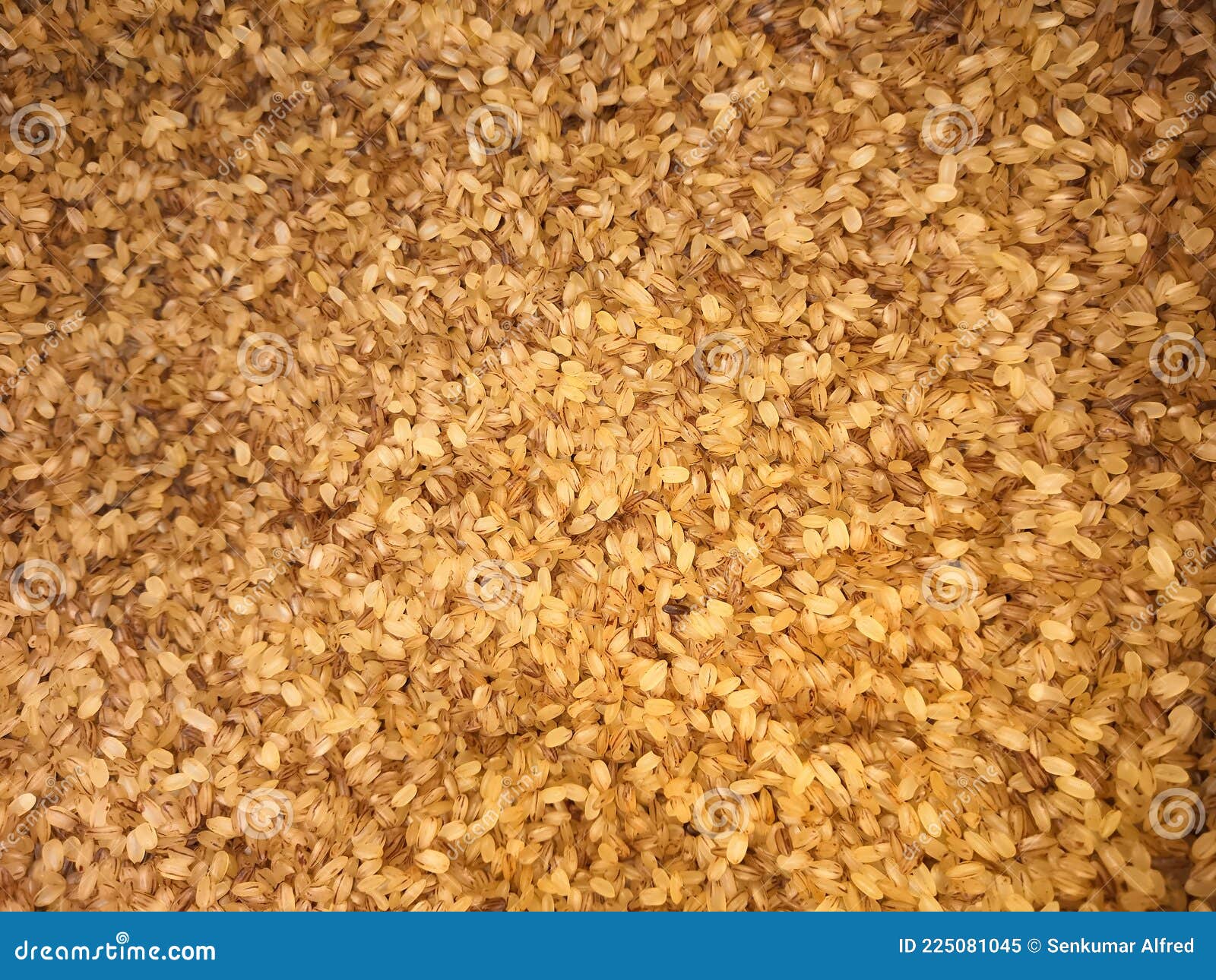 Kerala Palakkadan Matta Rice Stock Image - Image of natural, organic ...