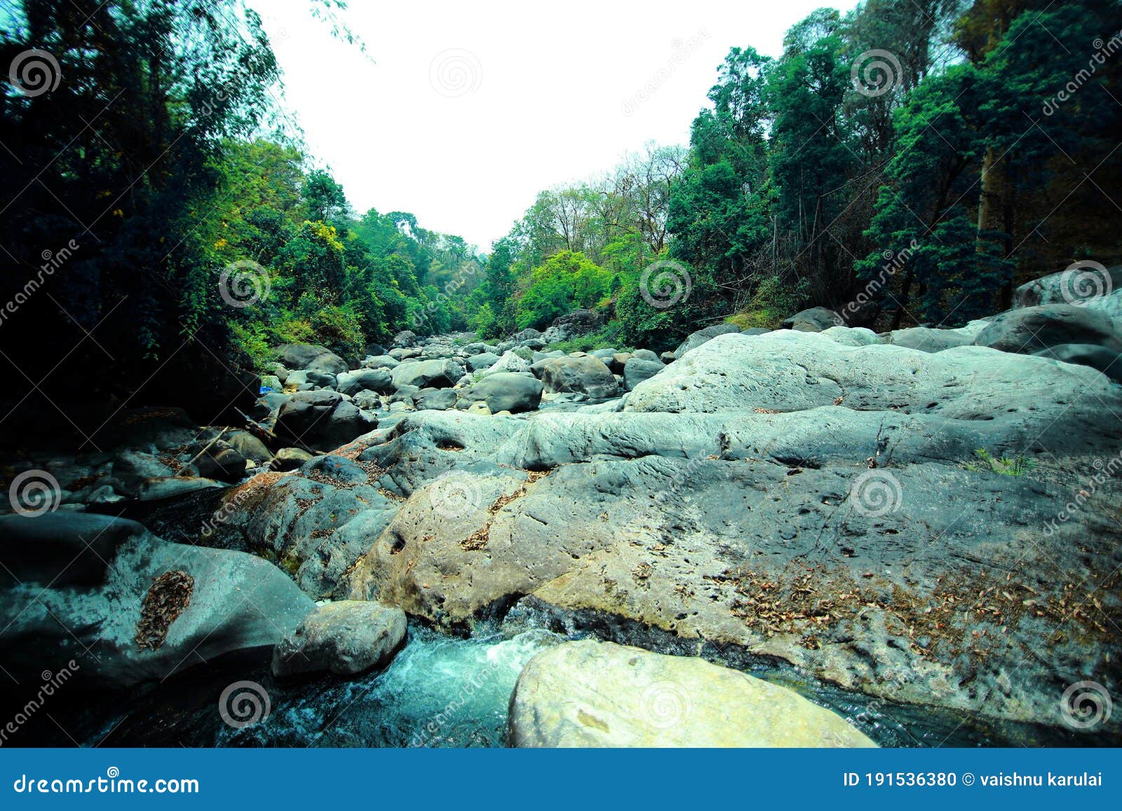 Kerala Rever stock photo. Image of nature, stream, watercourse - 191536380