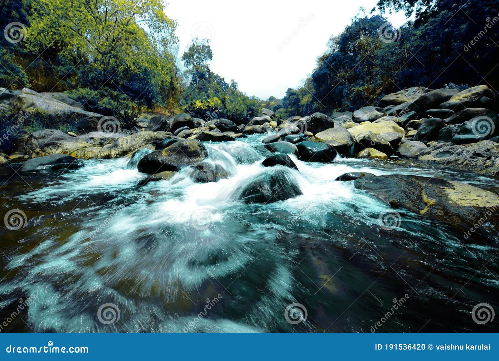Kerala Rever stock photo. Image of watercourse, tree - 191536420