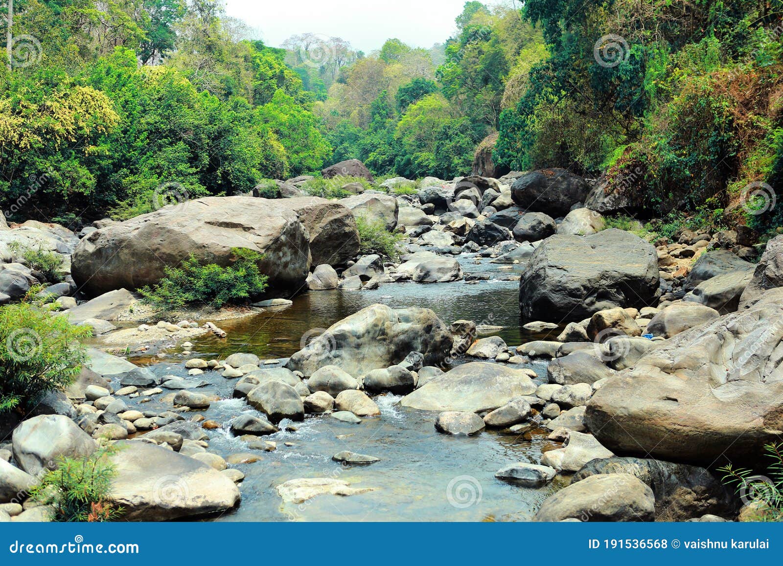 Kerala Rever stock photo. Image of nature, watercourse - 191536568