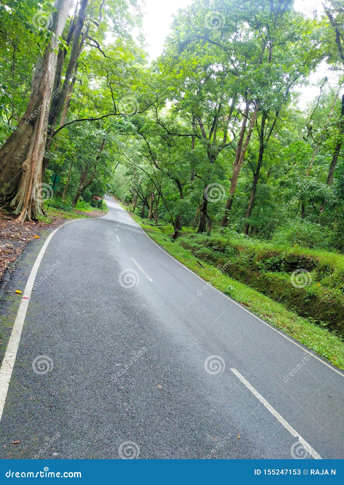 Kerala road stock image. Image of beauty, india, road - 155247153