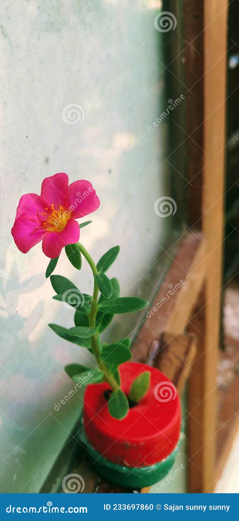 Kerala 10th time flower stock photo. Image of yellow - 233697860