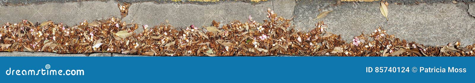 Kerbside cleaning required stock photo. Image of cleaning - 85740124