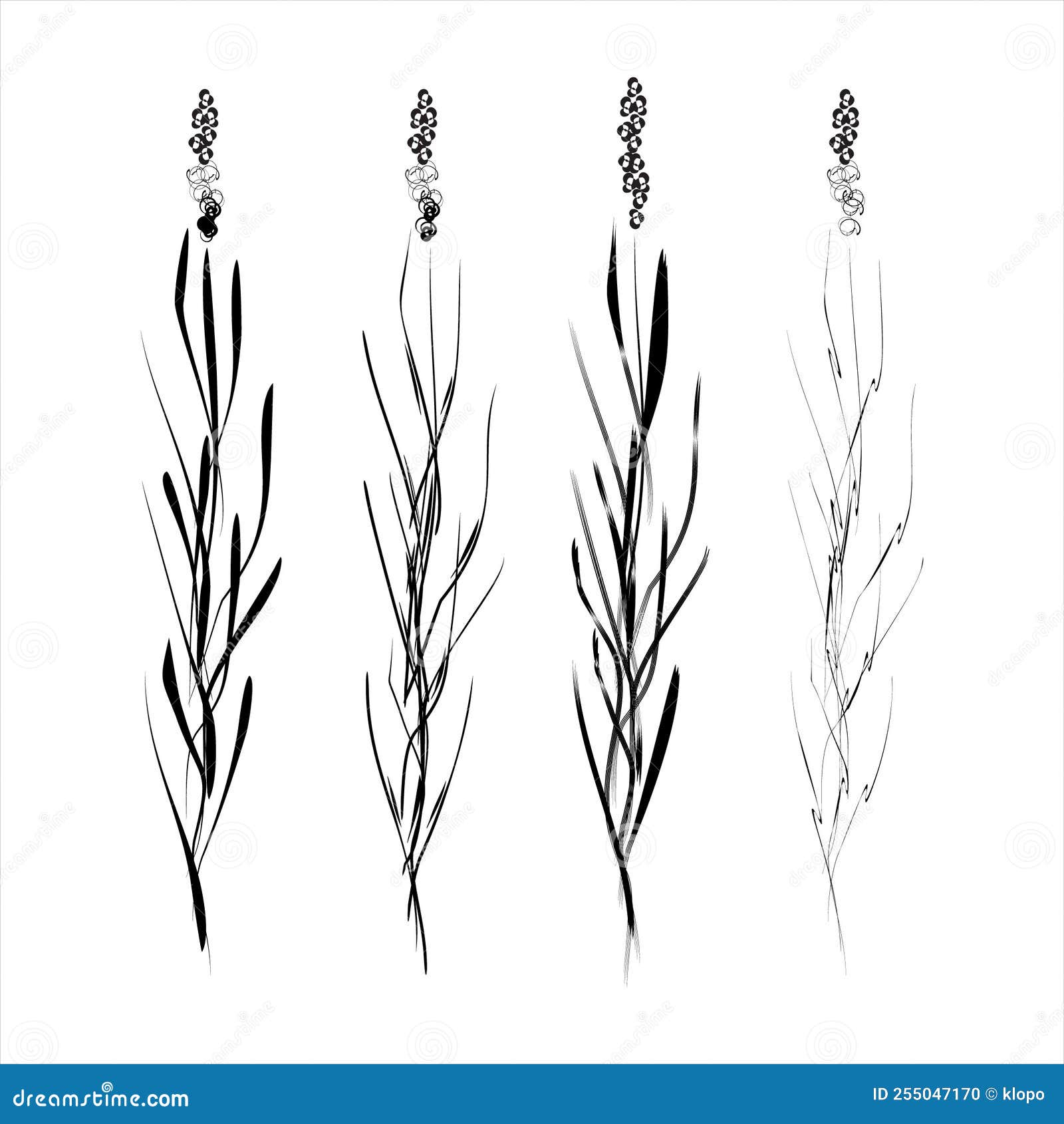 Free Hand Illustration of Grass Drawing Stock Illustration ...