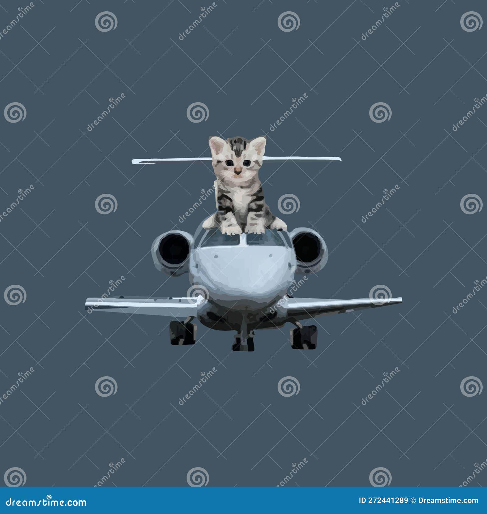 Cat on an airplane stock illustration. Illustration of plane - 272441289