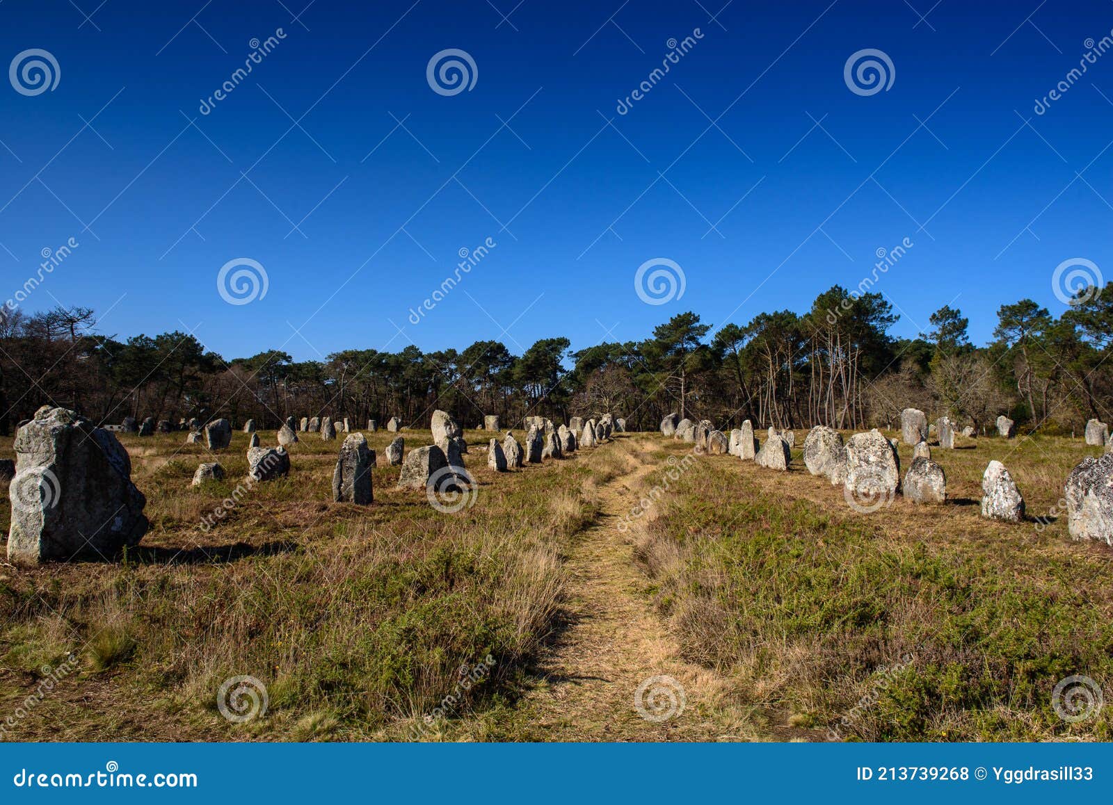 Kerlescan Menhir Alignment Near Carnac Stock Photo - Image of morbihan ...