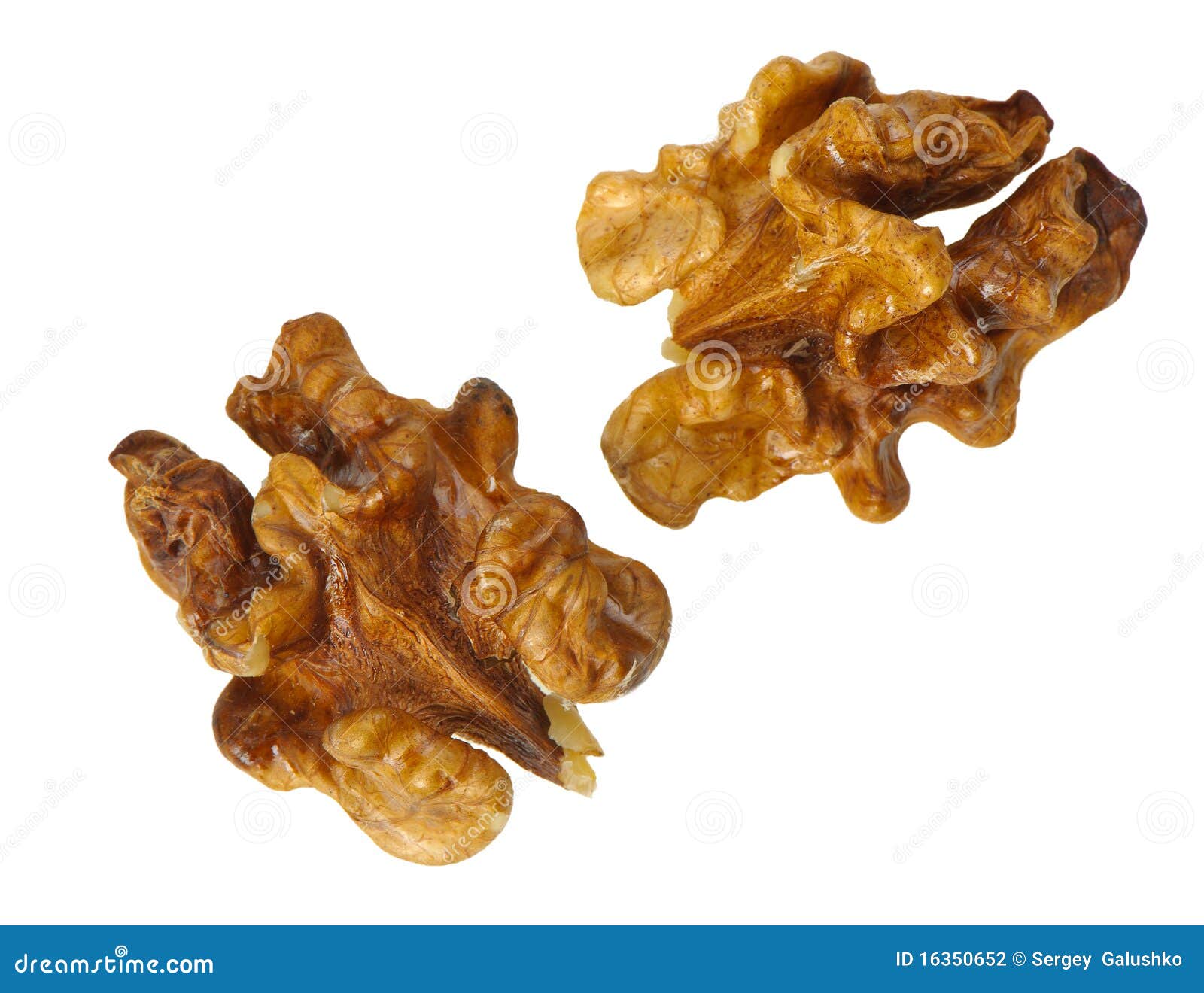 Kernel walnut stock photo. Image of open, healthy, snack - 16350652