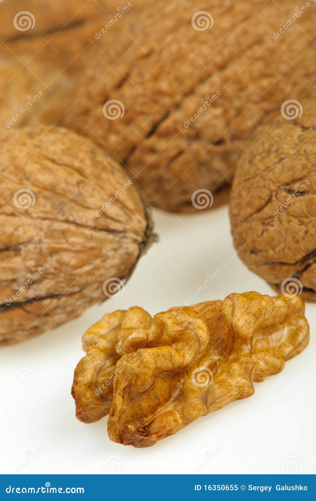 Kernel walnut stock image. Image of food, group, objects - 16350655